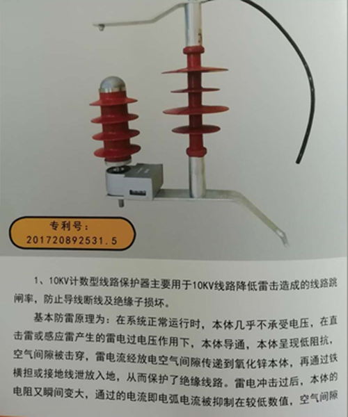 多腔室防雷装置-内置室限压器-雷击闪落限制器-特瑞格（天津）科技有限公司